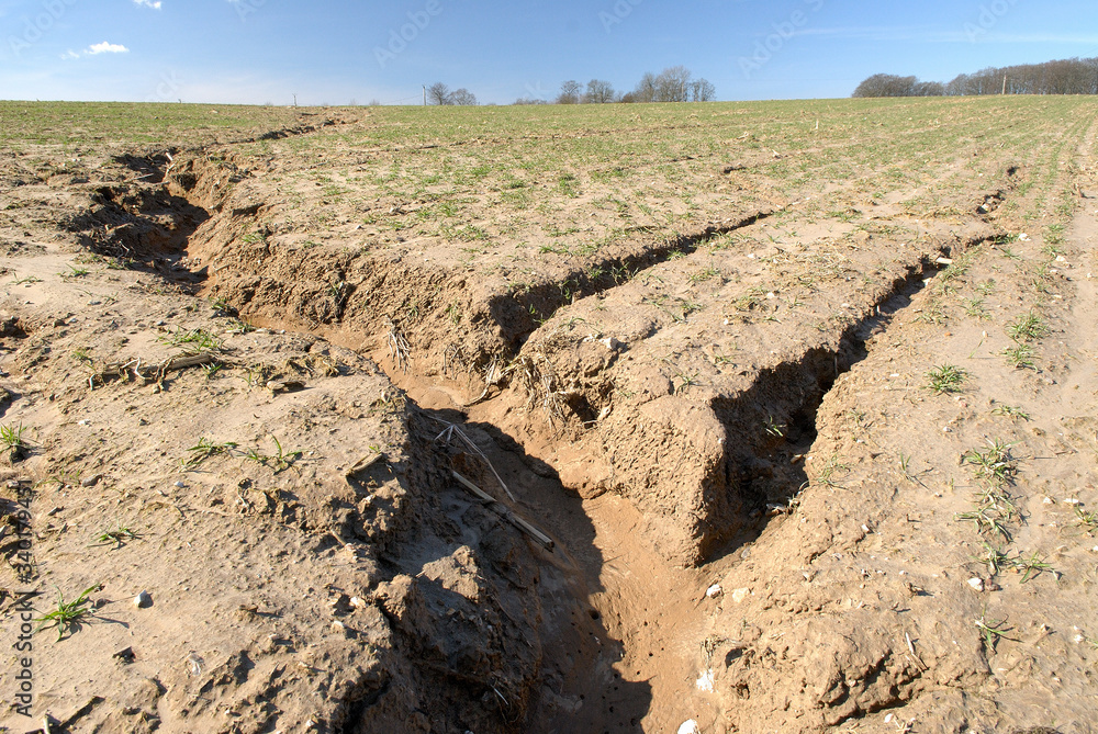 Formations de ravines dans un champ de blé en pente dues aux ...