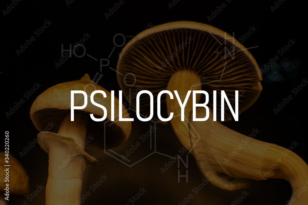 chemical formula of psilocybin on a blackboard Mushroom. Stock Photo ...