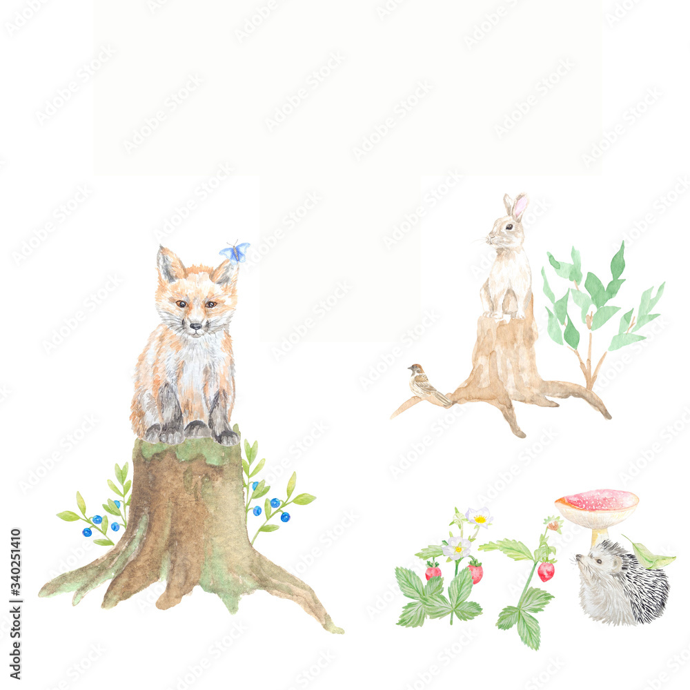 Watercolor drawing of a forest glade with a fox and a hare sitting on ...