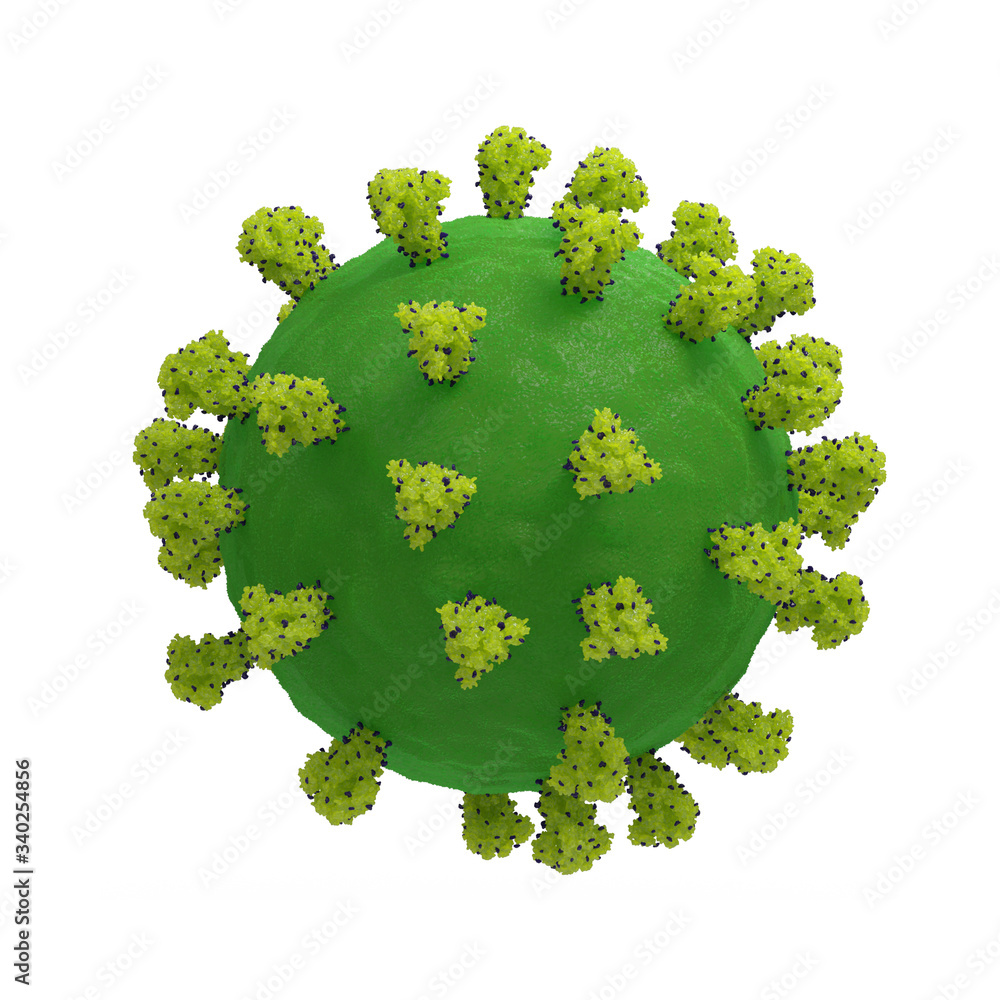 SARS-CoV-2 Virus Illustration based on actual structural biology data with accurate scaling ...