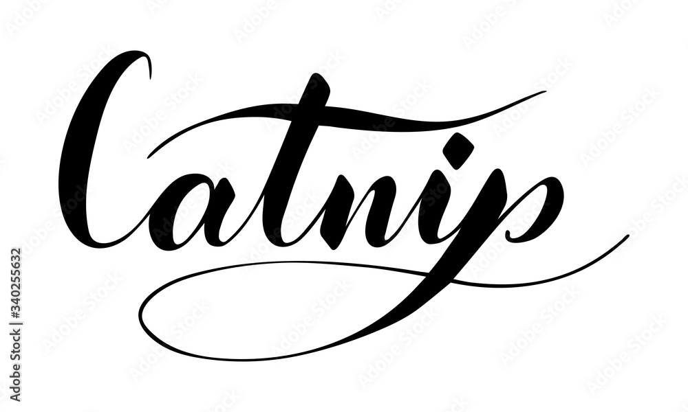 Vector hand written catnip text isolated on white background. Kitchen ...