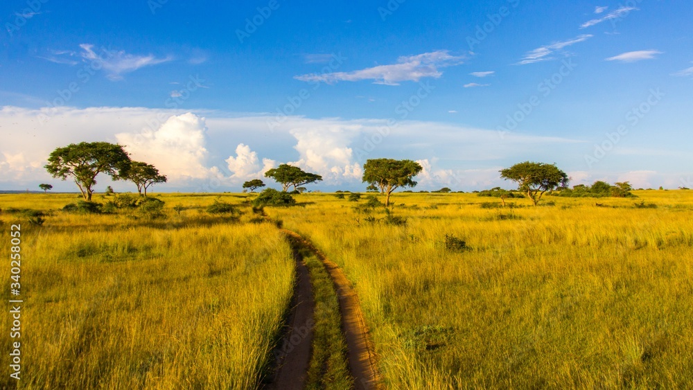 Paisajes de la selva y sabana africana durante un safari Stock Photo ...