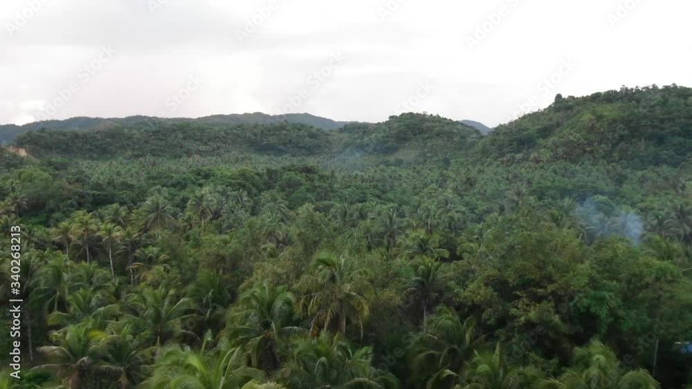 Vidéo Stock Flying over the jungel of a tropical island, welcome to ...