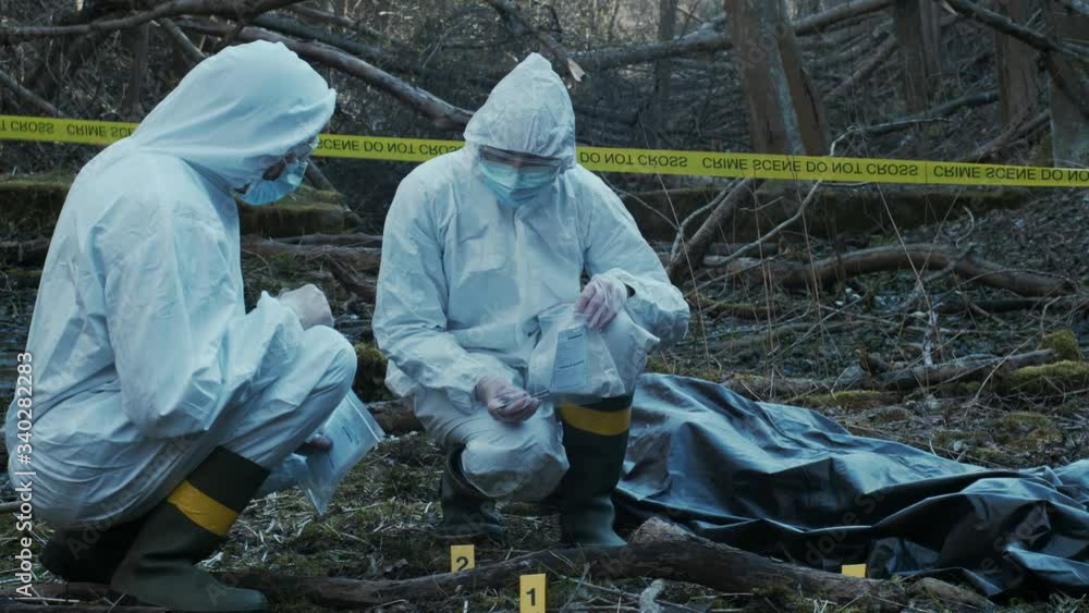 Detectives collecting evidence in a crime scene. Forensic specialists ...