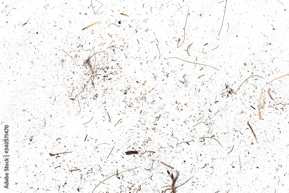 Dry cut green and yellow grass leaves, dirt dust isolated on white ...