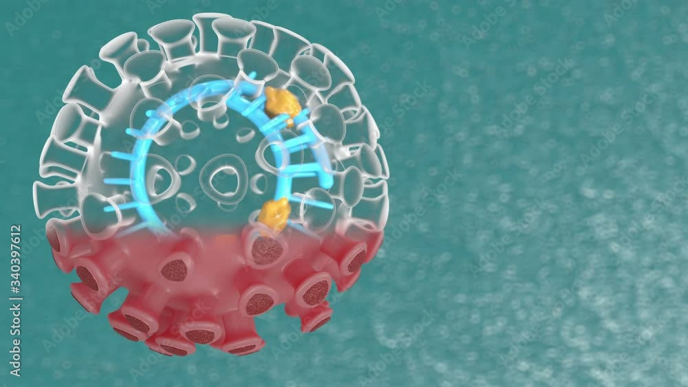 3D animation of the movement of a coronavirus. Model of an isolated ...