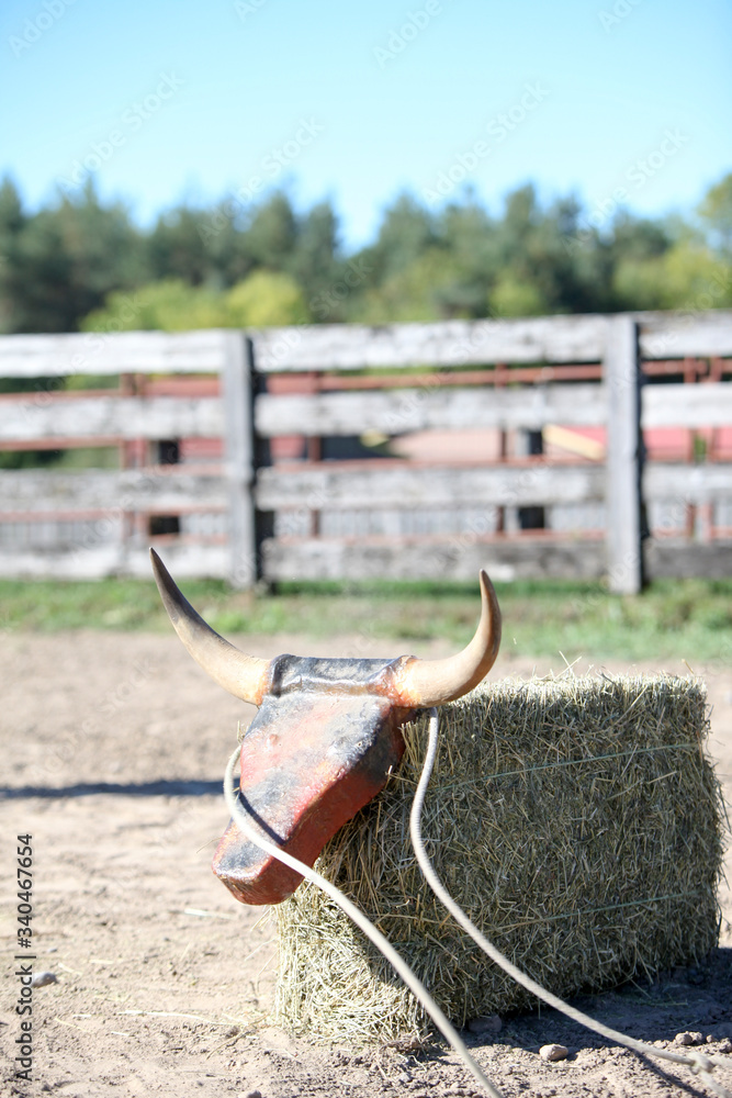 Roping steer head dummy attached to a hay bale. Stock Photo | Adobe Stock