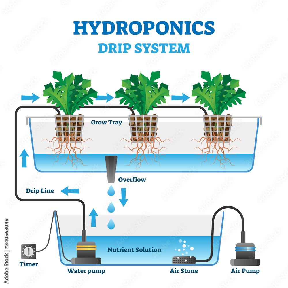Hydroponics vector illustration. Labeled drip system explanation scheme ...