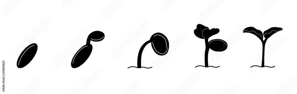 Seed growing into tree. Silhouette vector design. Stock Vector | Adobe ...