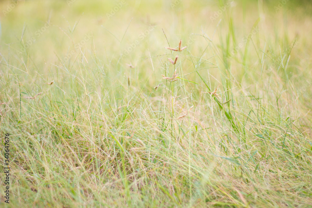 background Stock Photo | Adobe Stock