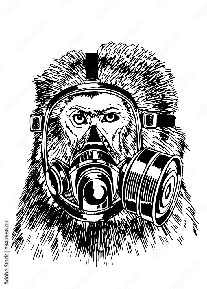Graphical sketch of monkey in gas mask isolated on white, vector ...