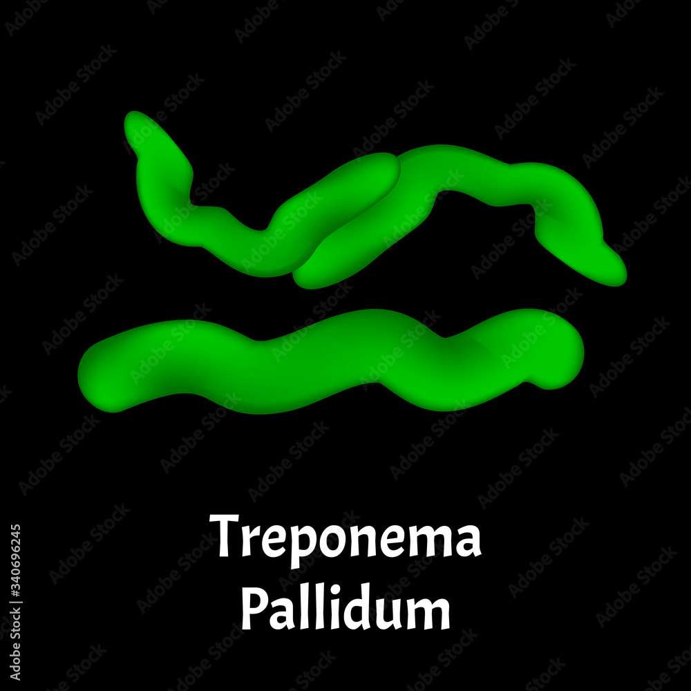 Syphilis. Treponema pallidum, Spirochaetaceae. Bacterial infections ...