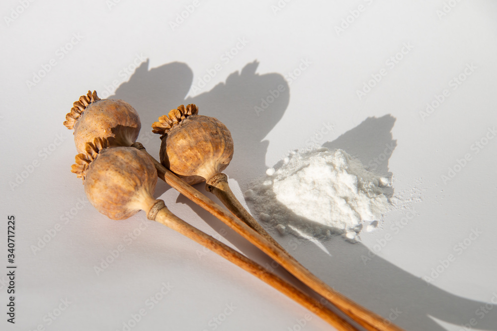 Three poppy heads and white powder on a white background. Raw materials ...