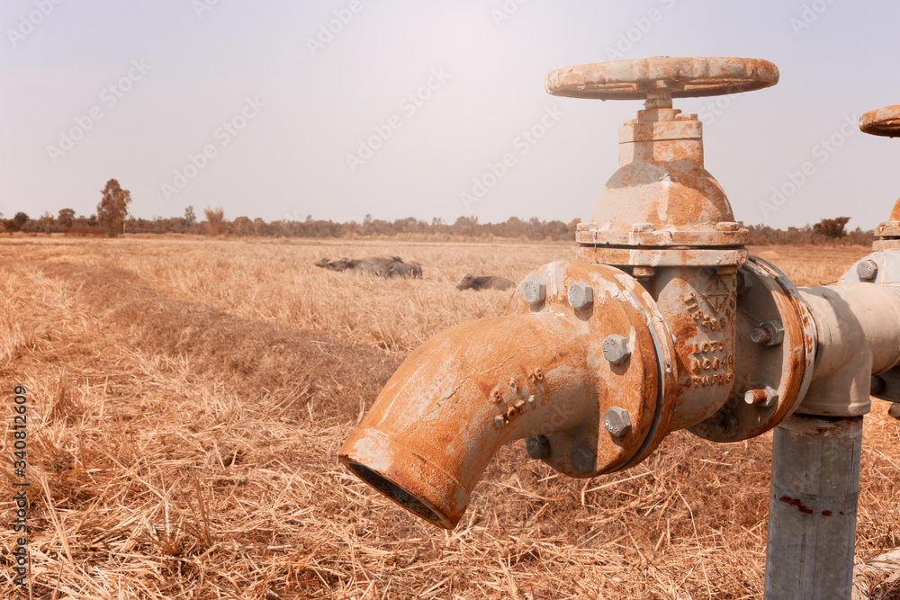 Gate valve, old water valve on a white background ,gate valves Water ...