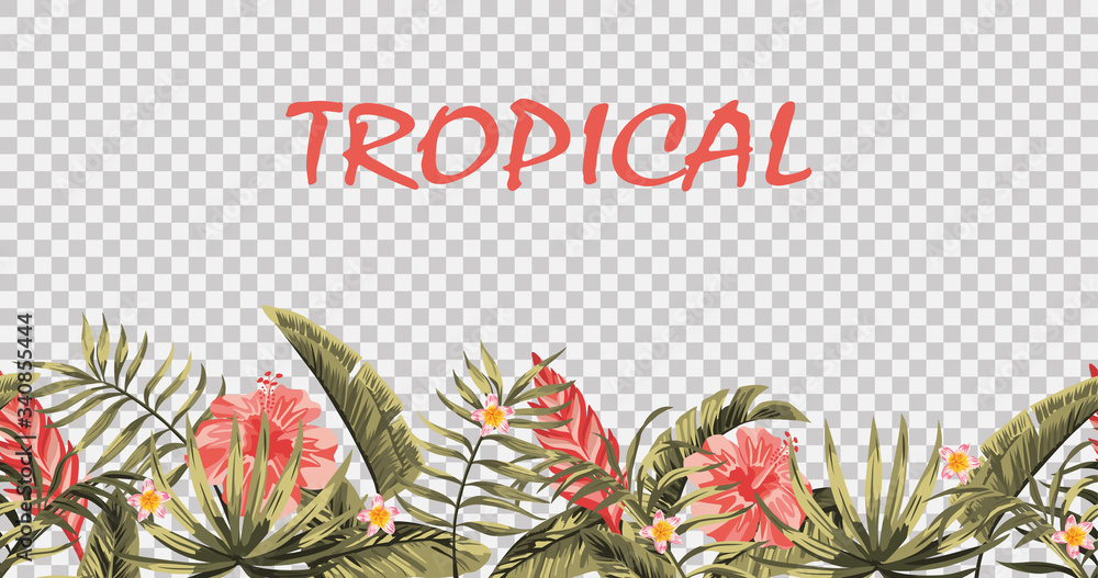 Seamless tropical border vector transparent background Stock Vector ...