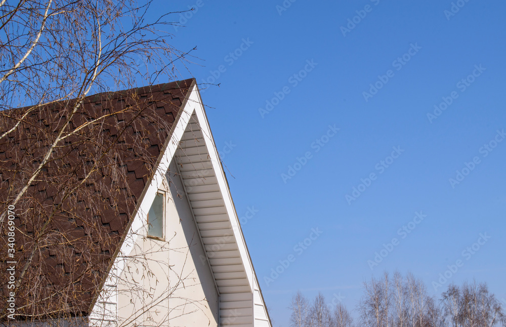 Sharp triangular roof with a soft brown finish. Birch tree branches ...