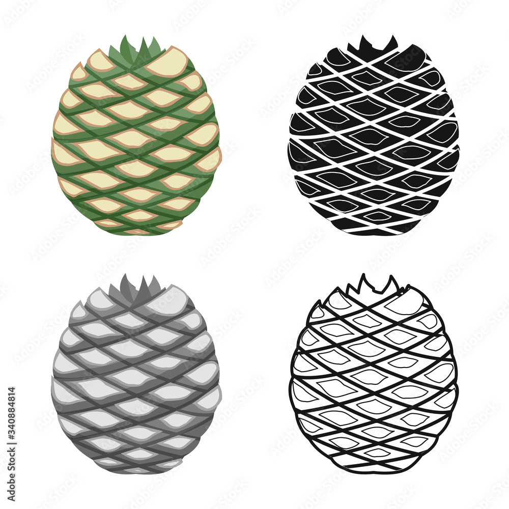 Isolated object of agave and tequila logo. Graphic of agave and blue ...