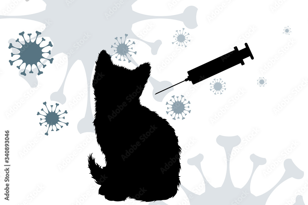 Vector silhouette of cat with vaccination symbol injection on white ...