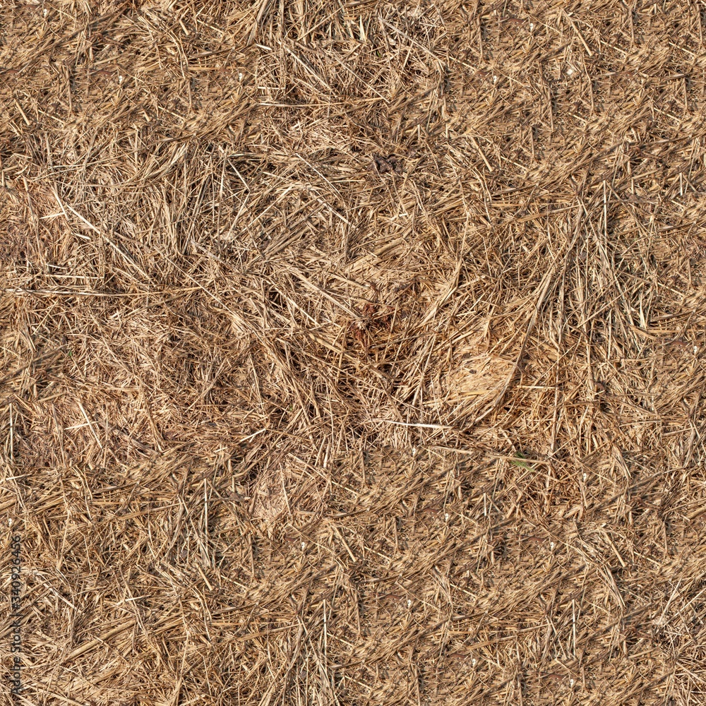 Seamless dry grass hay texture Stock Photo | Adobe Stock