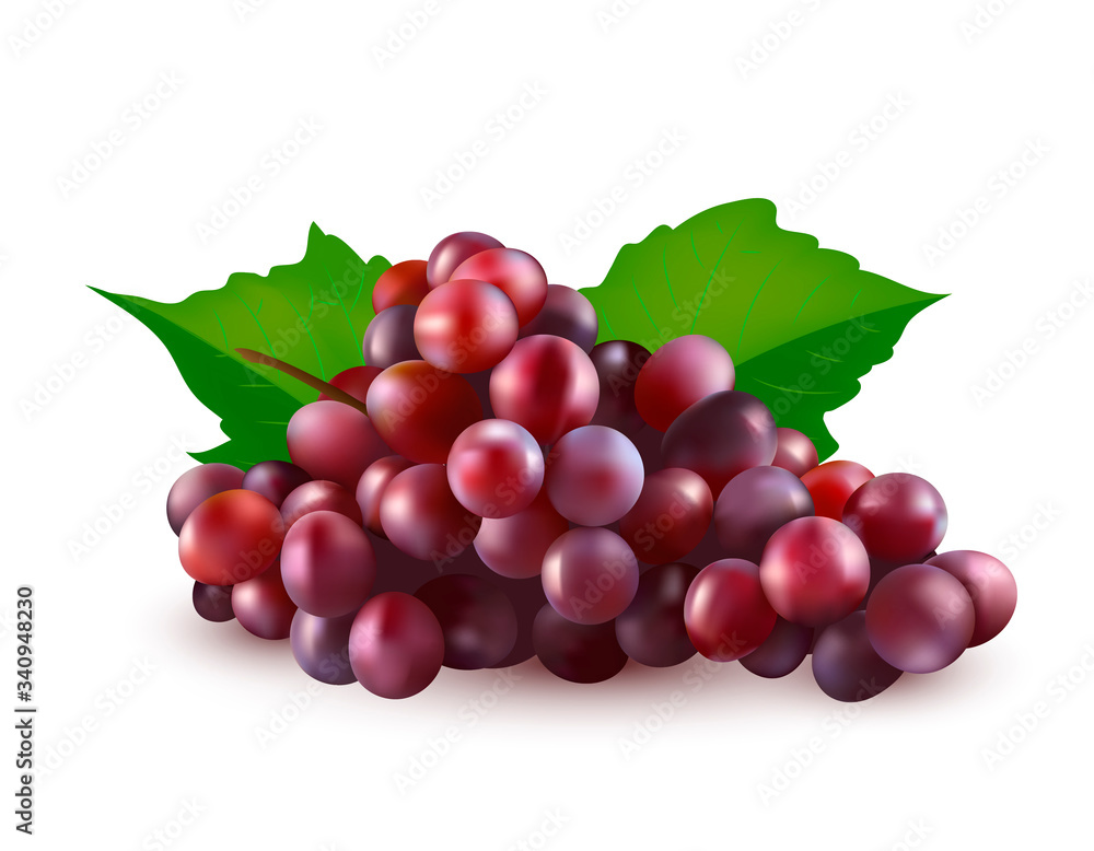 Vector red grapes illustration. 3d realistic vector red bunch of grapes ...