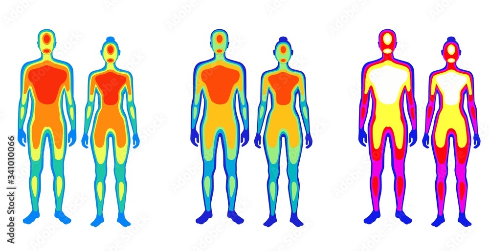 Poster Set of cartoon body warmth thermogram man and woman vector flat ...