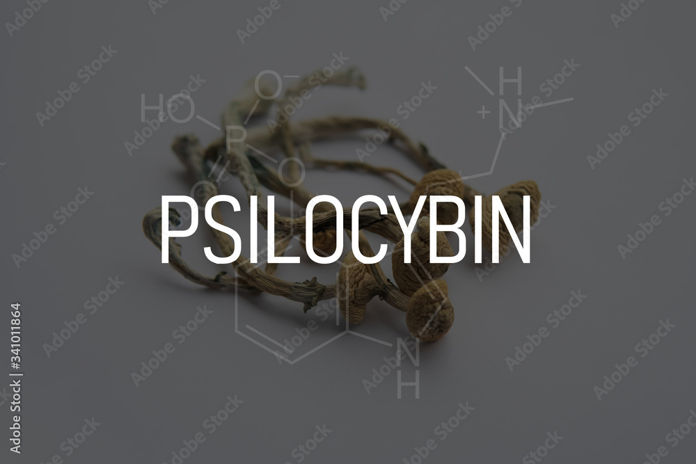 chemical formula of psilocybin on a blackboard Mushroom. Psychedelic ...