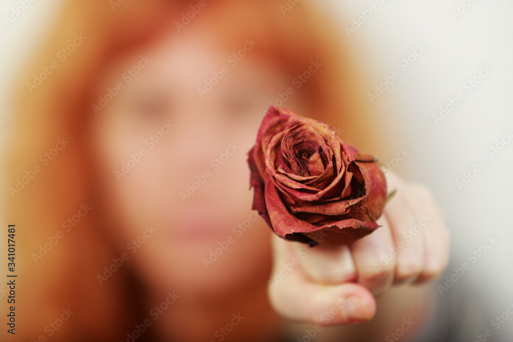 Foreground of a dry red rose with hand Stock Photo | Adobe Stock