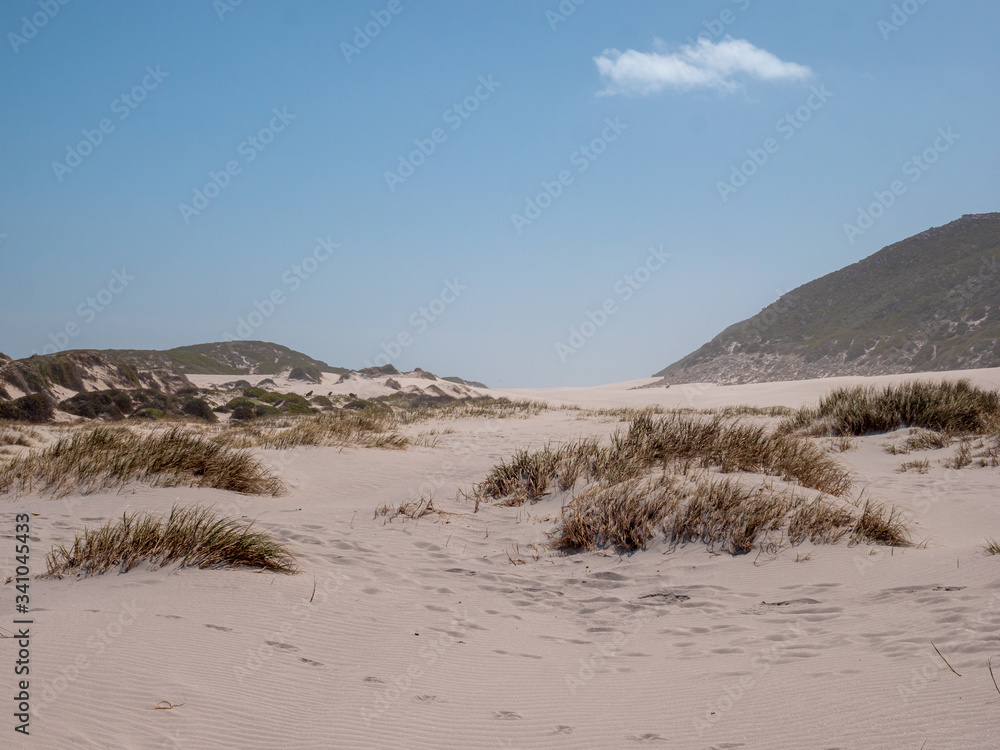 South African beach life landscape with white sand and awesome ...