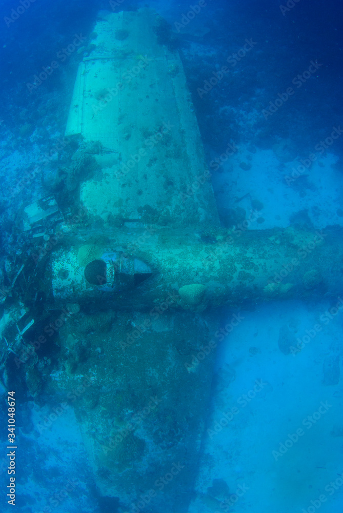 A sunken plane in Chuuk Lagoon. This Japanese wreck is called the Betty ...