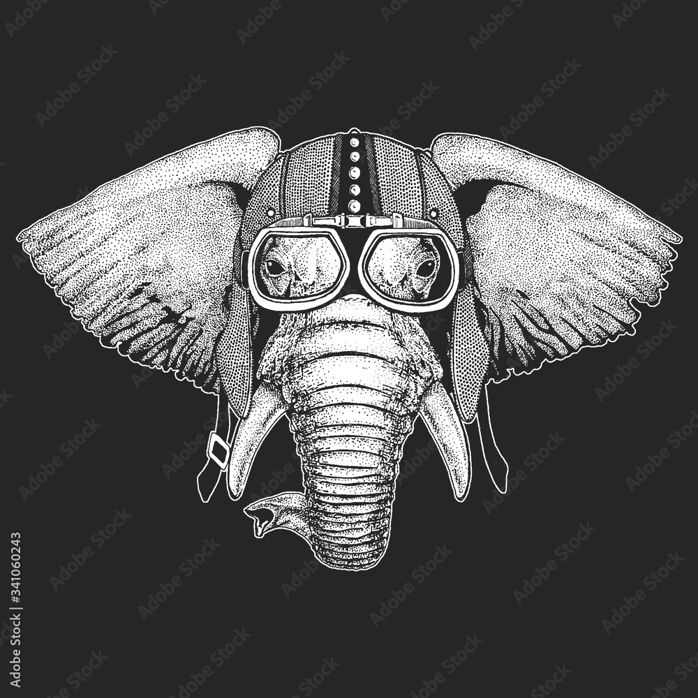Elephant head. Vintage motorcycle leather helmet. Portrait of wild ...