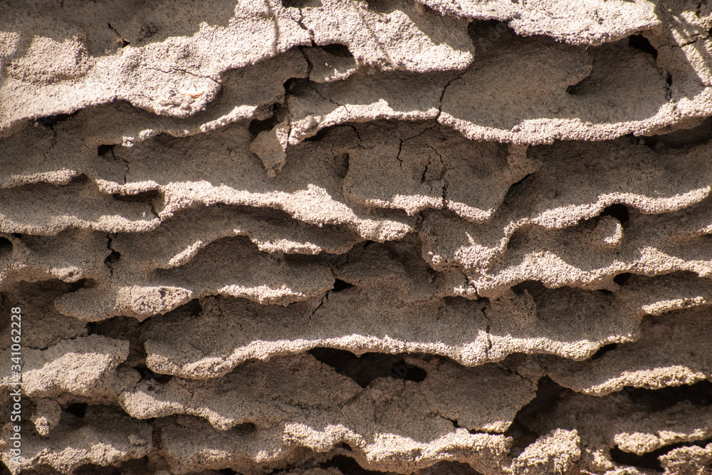 AntHill in the ground. Internal structure of the anthill. Texture ...