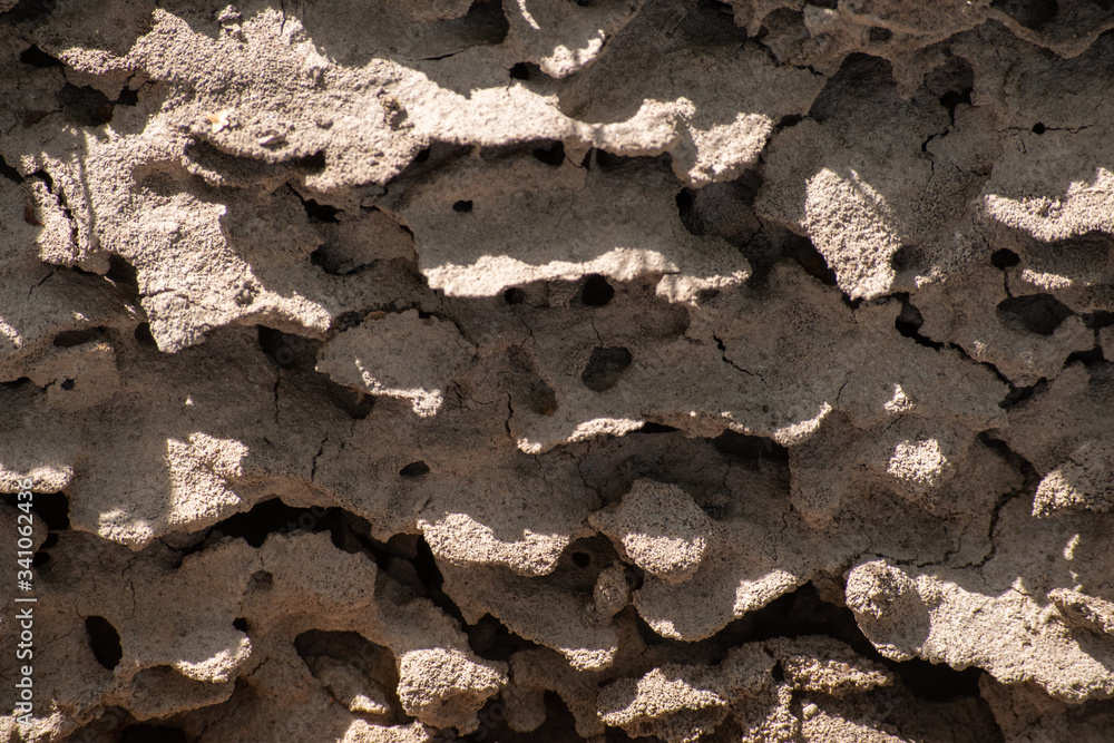 AntHill in the ground. Internal structure of the anthill. Texture ...