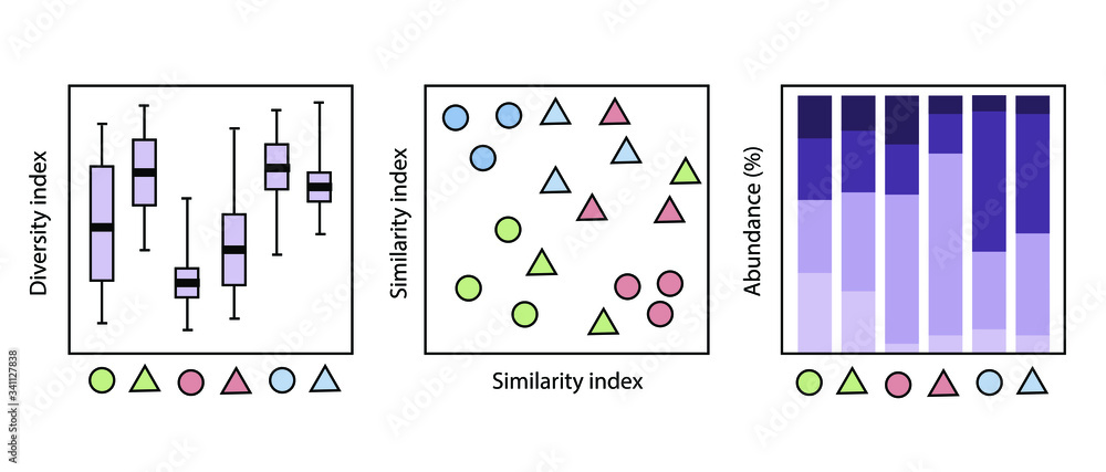 Vector illustration of a simple representation of community analysis ...