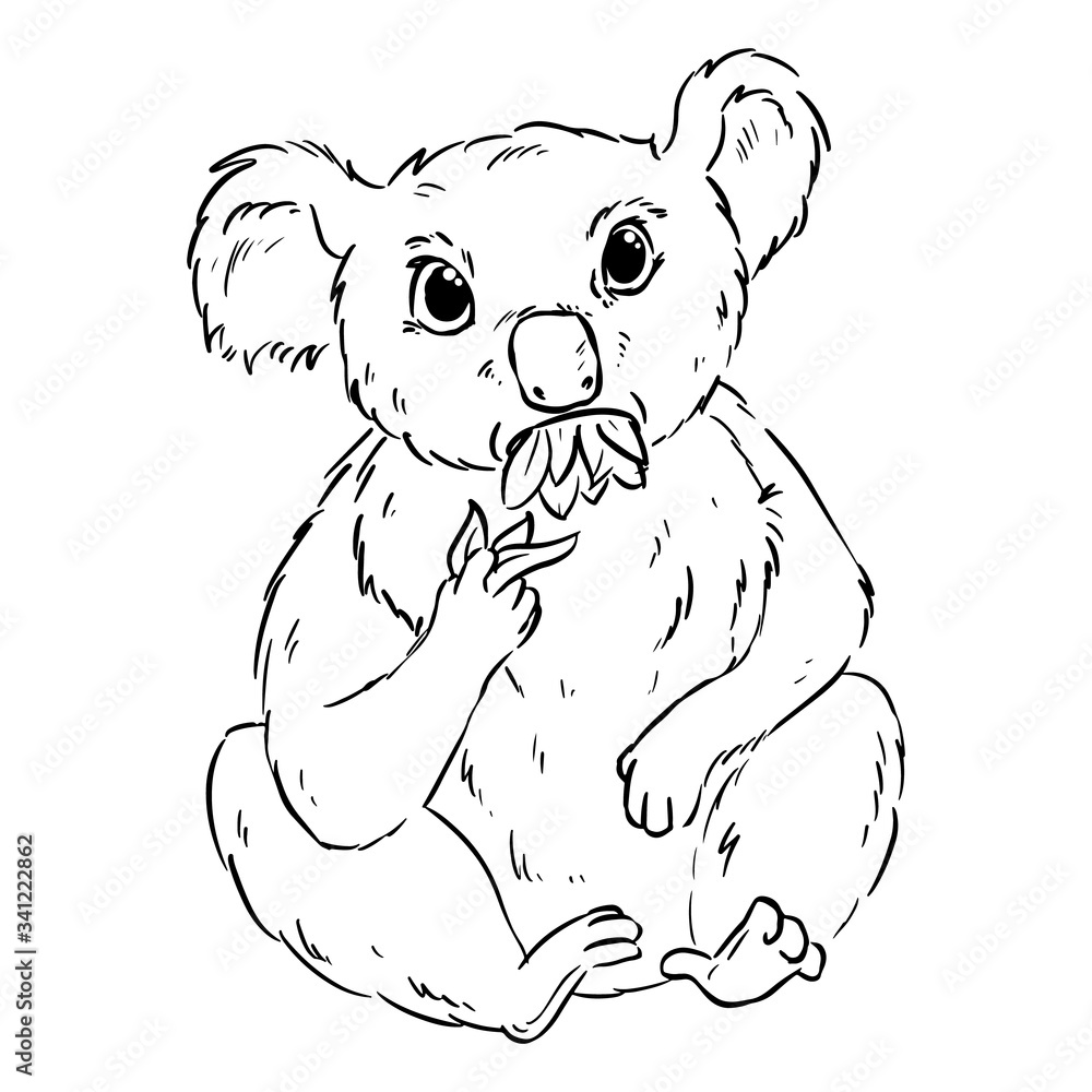Koala eating eucalyptus cartoon doodle. Cute koala animag chewing ...
