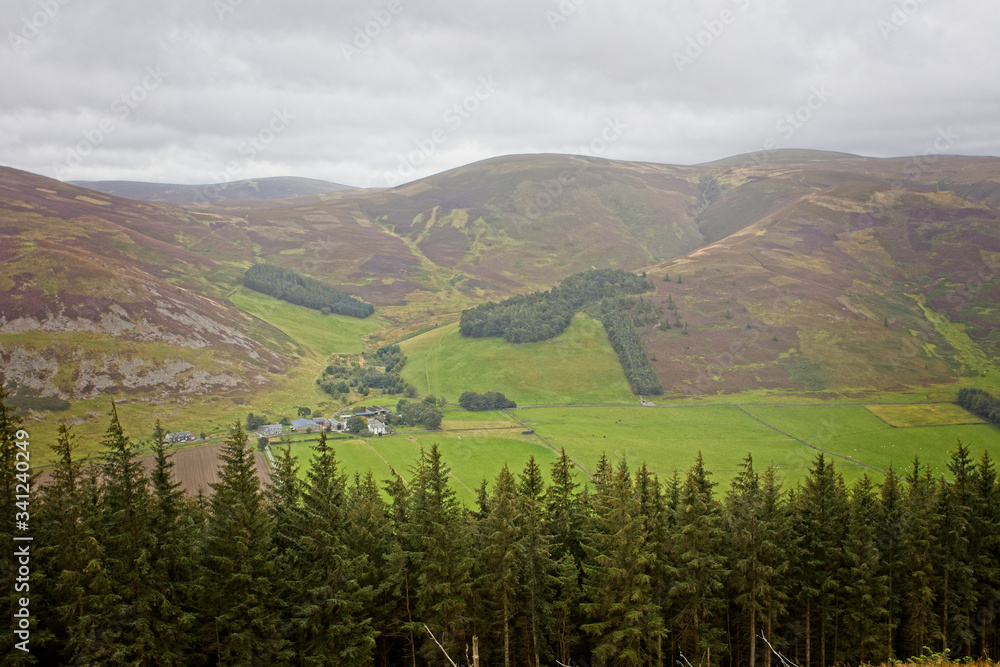 Scottish lowlands and southern uplands
