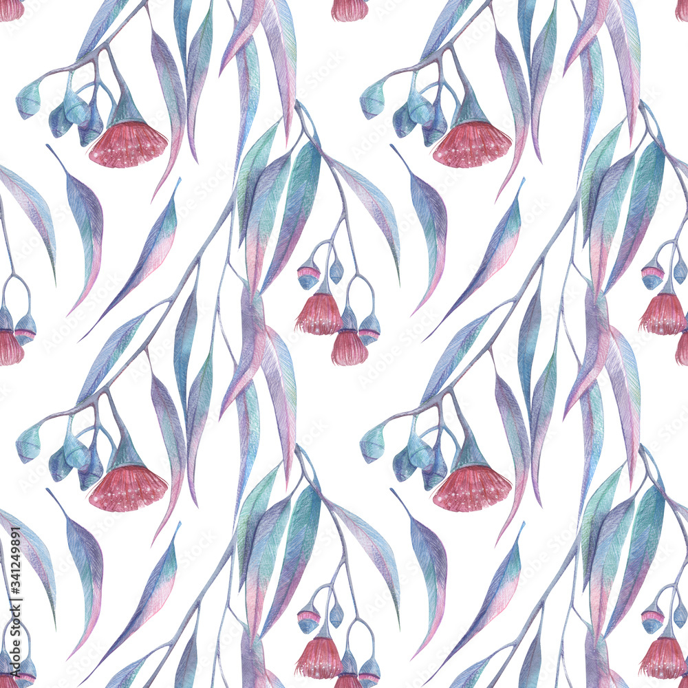 Seamless illustration of eucalyptus leaves and flowers. Floral drawing ...
