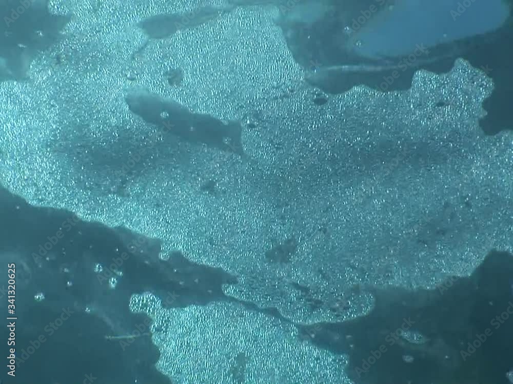 foam on the sea surface underwater pollution ocean scenery Stock Video ...