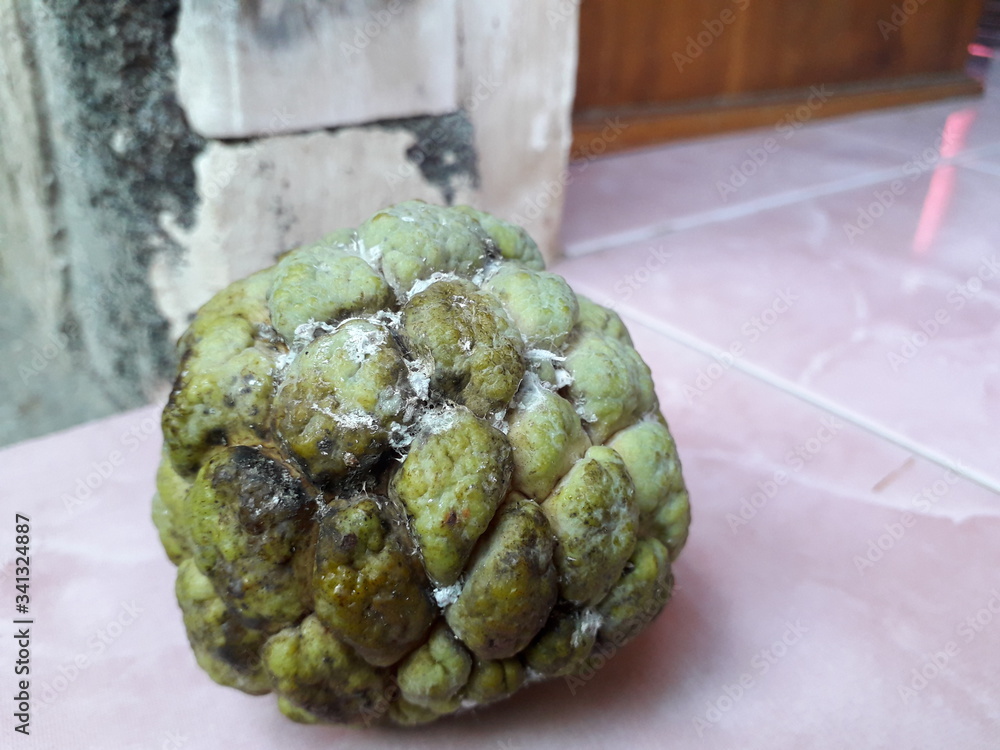 Srikaya, is a plant belonging to the genus Annona originating from the ...
