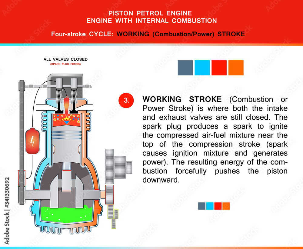 Piston engine four stroke cycle in structural cross section for ...