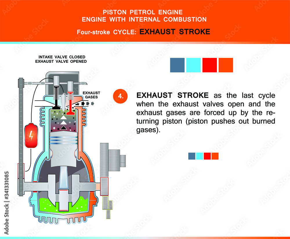 Piston engine four stroke cycle in structural cross section for ...