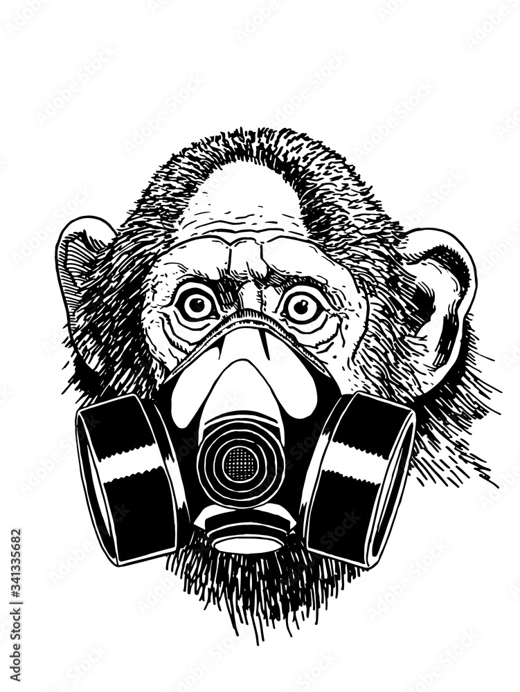 Graphical sketch of monkey in gas mask isolated on white, vector ...