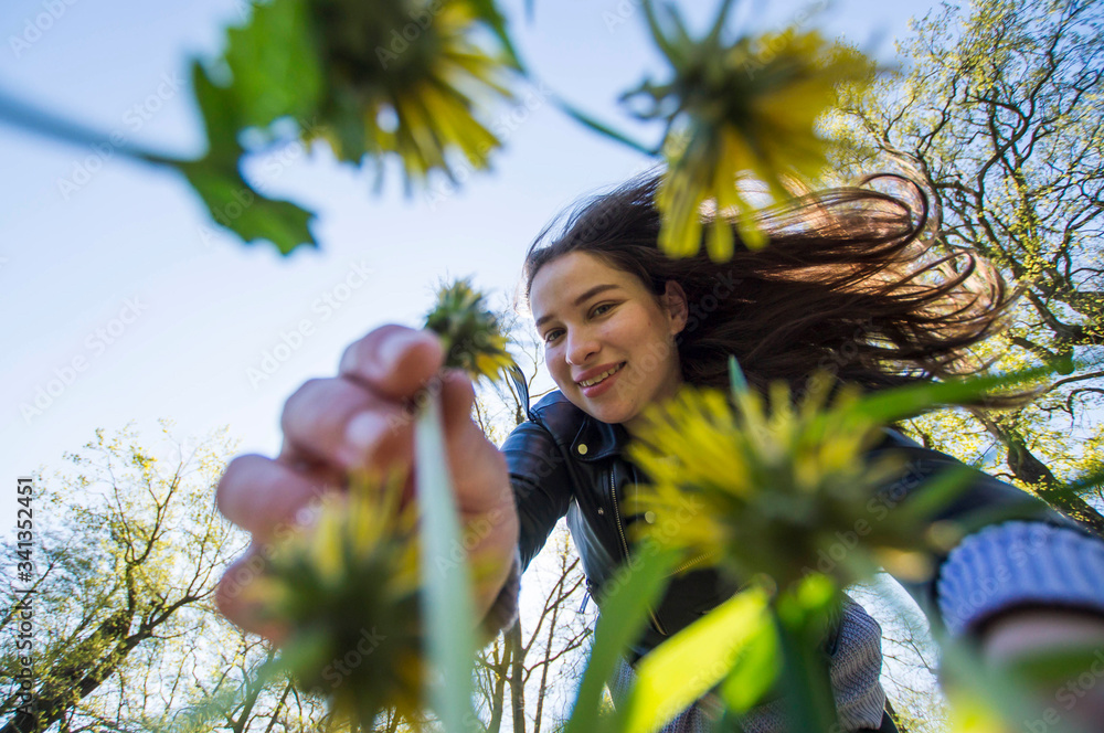 Girl picking dandelion flower in field of grass, low angle of flower ...