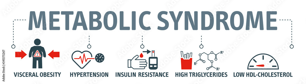 The metabolic syndrome infographics with icons Stock Vector | Adobe Stock