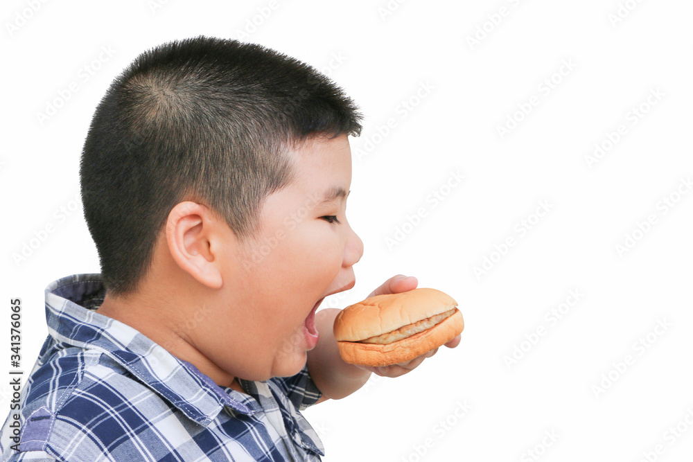 Fat boy eating a hamburger on isolated white background Stock Photo ...
