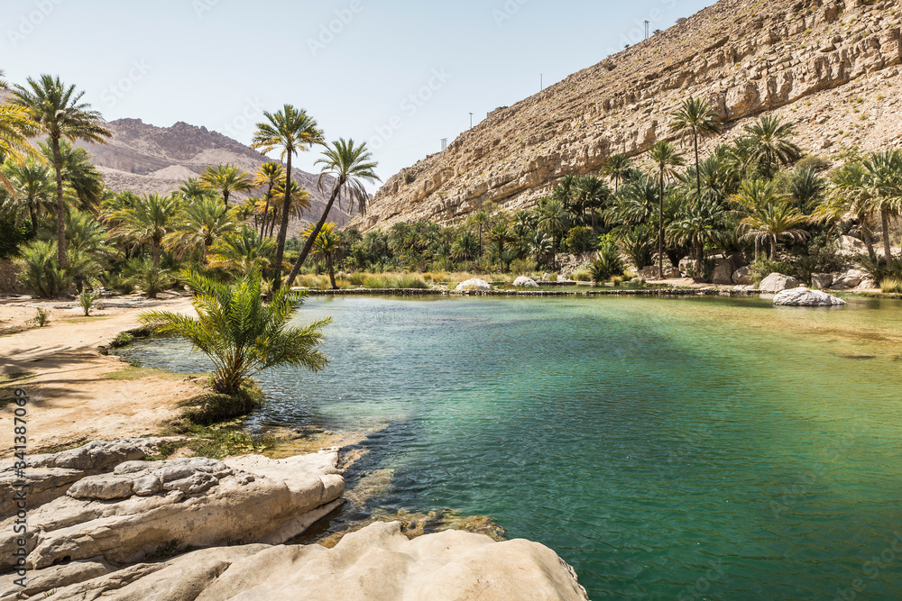 Oman, Ash Sharqiyah North Governorate, Riverbed surrounded by palm ...