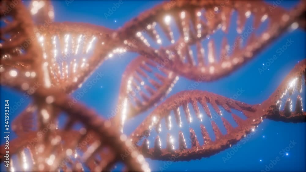 structure of the DNA double helix animation, DNA molecular and ...
