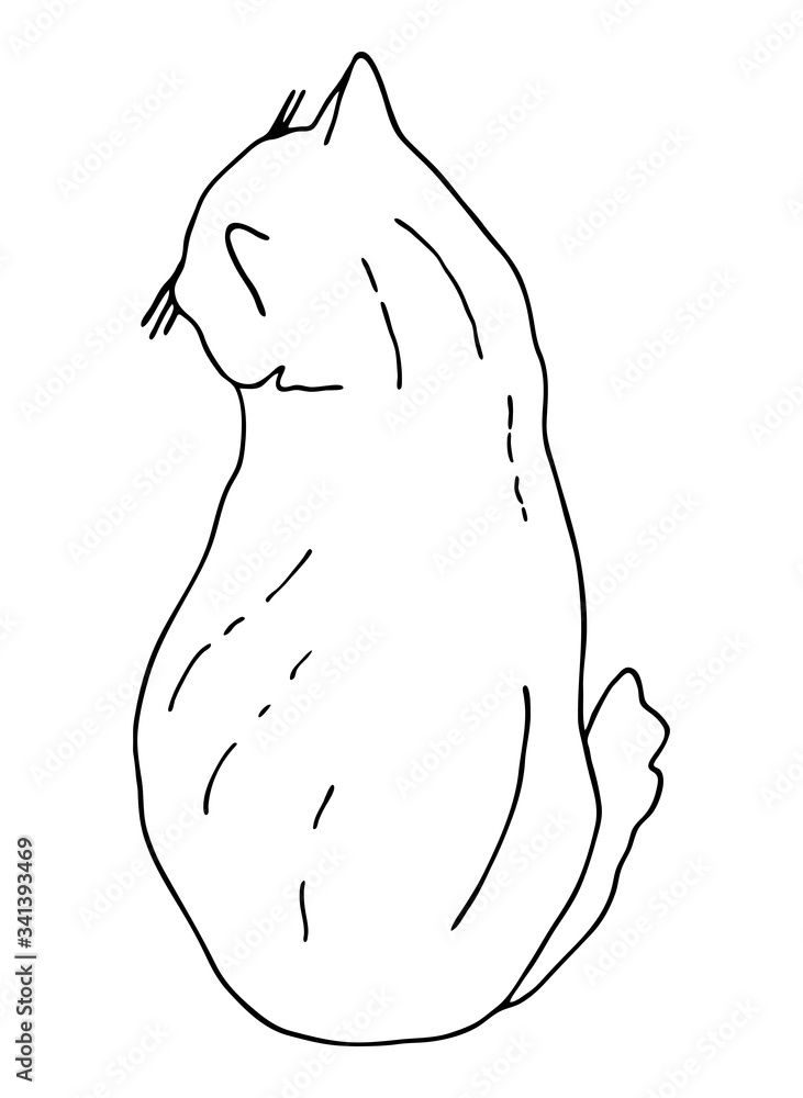 Outline cat sitting. Hand drawn contour vector illustration. Back view ...