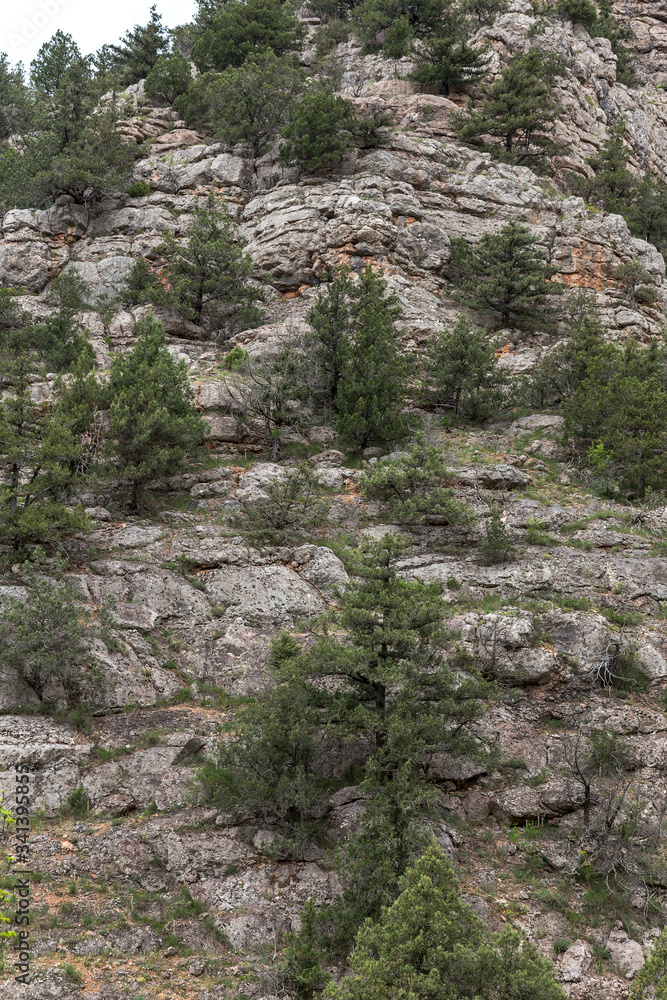 Mountain landslide stone slopes threaten to block roads and forest ...