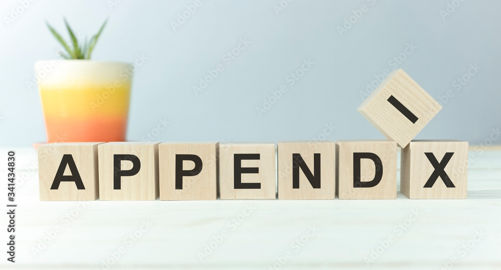 APPENDIX word made with building blocks, medical concept. Stock Photo ...