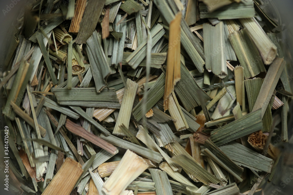 Foto de Erva-Príncipe (Portugal) também conhecido por Capim Santo ou ...